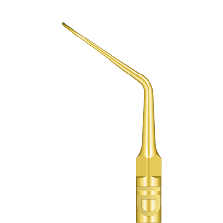 Insert Dentaire P2RT compatible EMS - Insert Dentaire