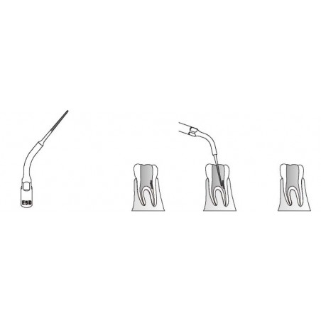 Insert Dentaire E5D compatible EMS - Insert Dentaire