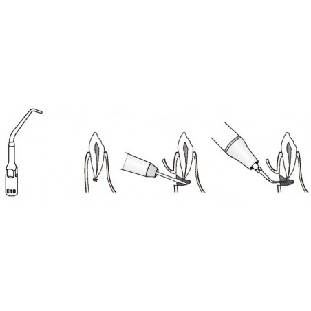 Insert Dentaire E10 compatible EMS - Insert Dentaire